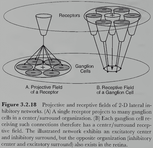 Section 3.3: Surface-Based Color Processing