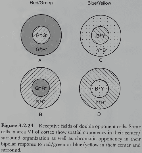 Section 3.3: Surface-Based Color Processing