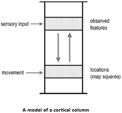 Chapter 6: Concepts, Language, and High-Level Thinking